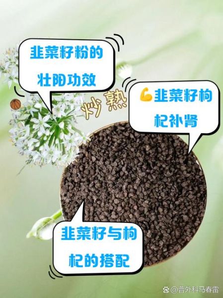 韭菜籽壮阳偏方_韭菜籽怎么吃最补肾-第1张图片-山城妙识 韭菜籽壮阳偏方_韭菜籽怎么吃最补肾-第1张图片-山城妙识