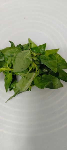 荆芥炒鸡蛋怎么做_荆芥炒鸡蛋的功效与作用-第2张图片-山城妙识