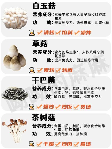 蘑菇的种类有哪些_蘑菇名称大全-第1张图片-山城妙识