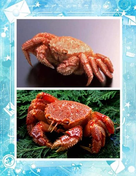 红毛蟹产地在哪里_红毛蟹和帝王蟹区别-第2张图片-山城妙识 红毛蟹产地在哪里_红毛蟹和帝王蟹区别-第2张图片-山城妙识