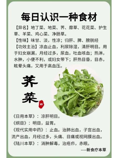 荠菜图片功效与作用_荠菜怎么吃最营养-第1张图片-山城妙识