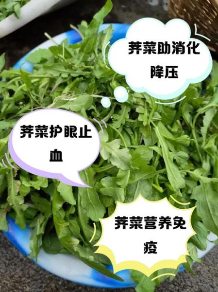 荠菜图片功效与作用_荠菜怎么吃最营养-第3张图片-山城妙识