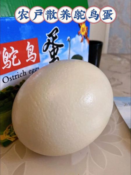 鸵鸟蛋的营养价值_鸵鸟蛋怎么吃最营养-第2张图片-山城妙识 鸵鸟蛋的营养价值_鸵鸟蛋怎么吃最营养-第2张图片-山城妙识