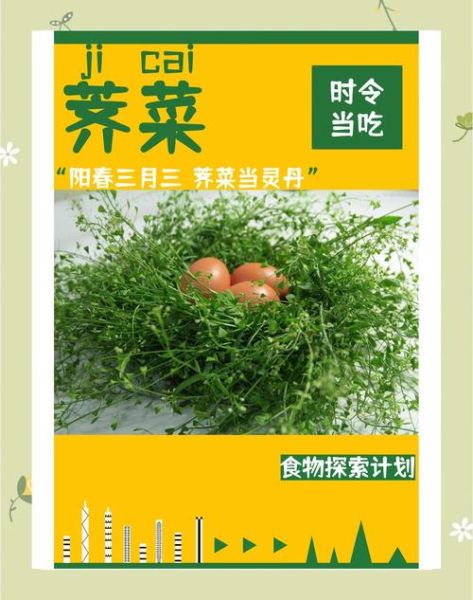 荠菜煮鸡蛋的由来_荠菜为什么煮鸡蛋-第1张图片-山城妙识 荠菜煮鸡蛋的由来_荠菜为什么煮鸡蛋-第1张图片-山城妙识