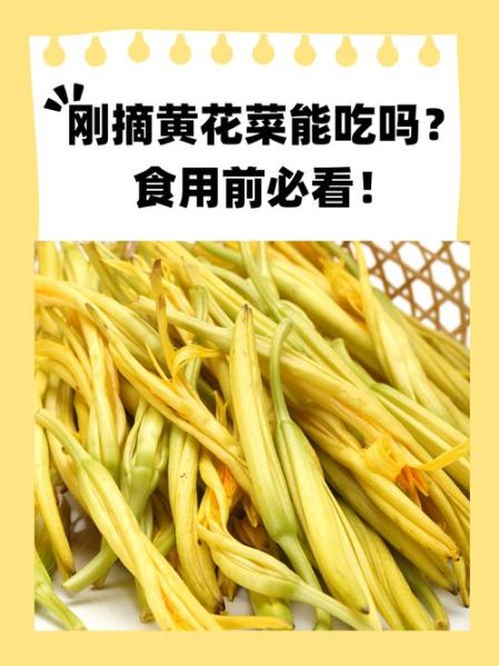 黄花菜中毒多久自解除_黄花菜中毒症状多久消失-第1张图片-山城妙识 黄花菜中毒多久自解除_黄花菜中毒症状多久消失-第1张图片-山城妙识