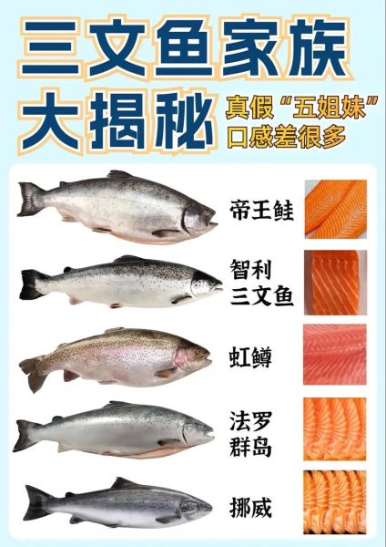 鲑鱼之乱是什么_鲑鱼之乱影响有哪些-第1张图片-山城妙识 鲑鱼之乱是什么_鲑鱼之乱影响有哪些-第1张图片-山城妙识