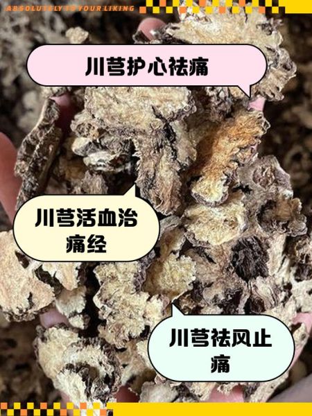 酒川芎的功效与作用_酒川芎和川芎区别-第3张图片-山城妙识 酒川芎的功效与作用_酒川芎和川芎区别-第3张图片-山城妙识