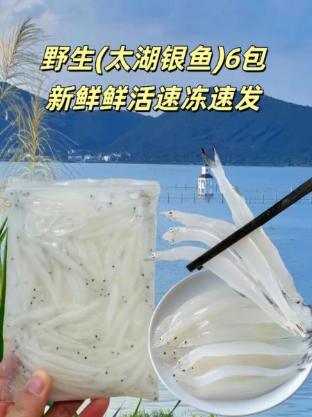 鲜银鱼焯水有什么好处_鲜银鱼不焯水可以吗-第1张图片-山城妙识 鲜银鱼焯水有什么好处_鲜银鱼不焯水可以吗-第1张图片-山城妙识