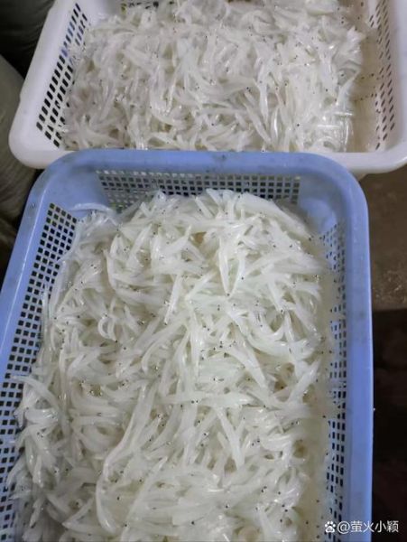 鲜银鱼焯水有什么好处_鲜银鱼不焯水可以吗-第3张图片-山城妙识 鲜银鱼焯水有什么好处_鲜银鱼不焯水可以吗-第3张图片-山城妙识