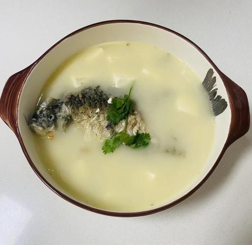 鲫鱼豆腐汤怎么炖不腥_鲫鱼豆腐汤做法大全-第3张图片-山城妙识 鲫鱼豆腐汤怎么炖不腥_鲫鱼豆腐汤做法大全-第3张图片-山城妙识