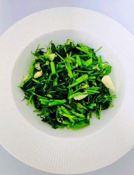 茴香菜长什么样_茴香菜怎么做好吃-第1张图片-山城妙识