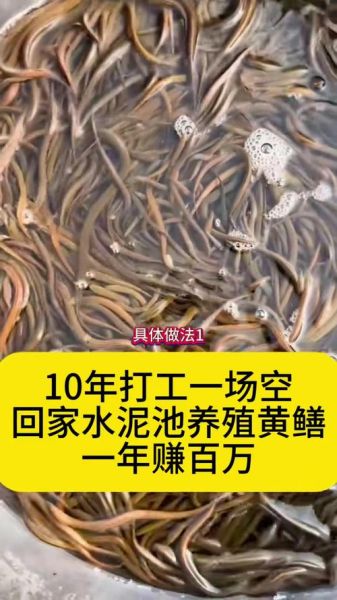 黄鳝怎么烧好吃_红烧黄鳝最正宗的做法-第2张图片-山城妙识 黄鳝怎么烧好吃_红烧黄鳝最正宗的做法-第2张图片-山城妙识