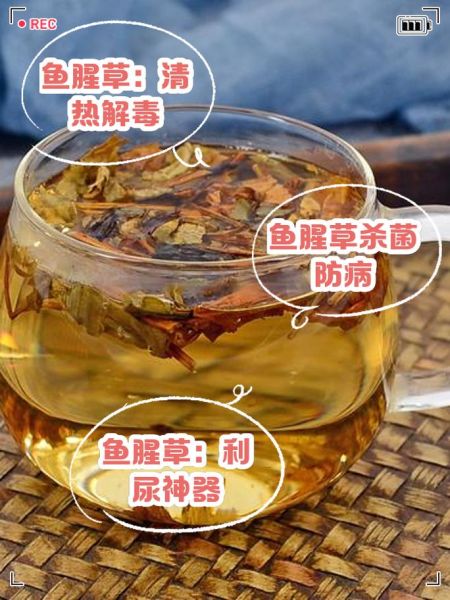 鱼腥草不能和什么一起吃_鱼腥草吃法大忌有哪些-第2张图片-山城妙识