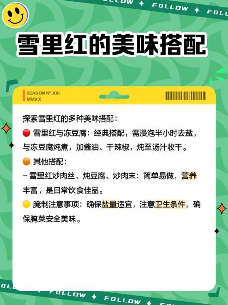 雪里红菜怎么腌制_雪里红菜的营养价值-第1张图片-山城妙识 雪里红菜怎么腌制_雪里红菜的营养价值-第1张图片-山城妙识