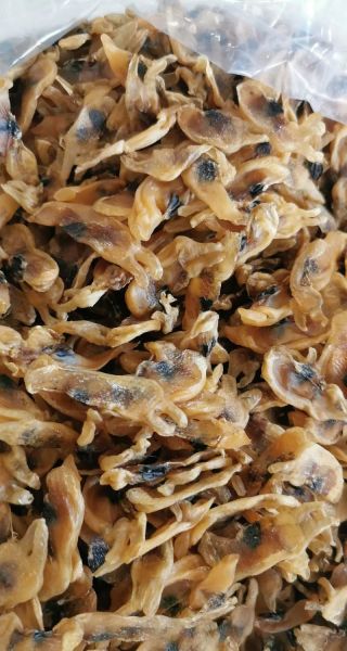 蛏子干怎么泡发_蛏子干怎么清洗才干净-第2张图片-山城妙识 蛏子干怎么泡发_蛏子干怎么清洗才干净-第2张图片-山城妙识