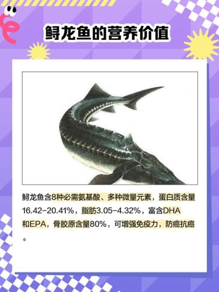 鲟鱼和鳇鱼哪个贵_价格差距有多大-第2张图片-山城妙识