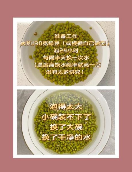 绿豆芽怎么发_家庭绿豆芽做法大全-第1张图片-山城妙识 绿豆芽怎么发_家庭绿豆芽做法大全-第1张图片-山城妙识