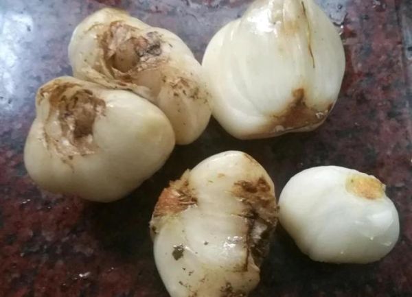 蒸鲜百合的做法大全_鲜百合蒸多久才熟-第3张图片-山城妙识 蒸鲜百合的做法大全_鲜百合蒸多久才熟-第3张图片-山城妙识