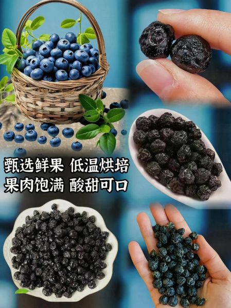 蓝莓干怎么制作_蓝莓干的做法家庭版-第3张图片-山城妙识 蓝莓干怎么制作_蓝莓干的做法家庭版-第3张图片-山城妙识