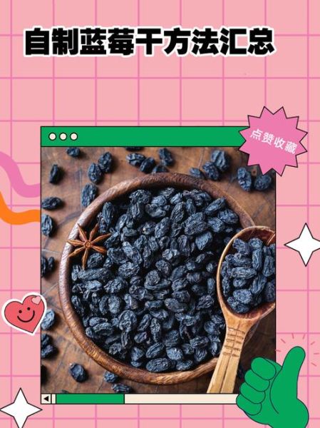 蓝莓干怎么制作_蓝莓干的做法家庭版-第1张图片-山城妙识 蓝莓干怎么制作_蓝莓干的做法家庭版-第1张图片-山城妙识