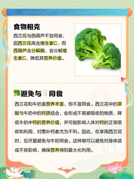 西兰花可以天天吃吗_西兰花禁忌人群有哪些-第1张图片-山城妙识 西兰花可以天天吃吗_西兰花禁忌人群有哪些-第1张图片-山城妙识