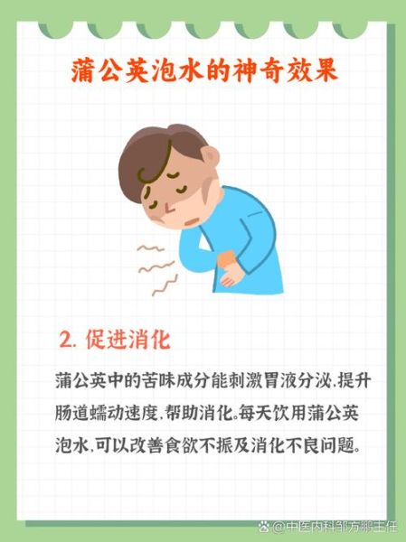 蒲公英泡水喝的功效与作用_蒲公英能治哪些病-第1张图片-山城妙识 蒲公英泡水喝的功效与作用_蒲公英能治哪些病-第1张图片-山城妙识