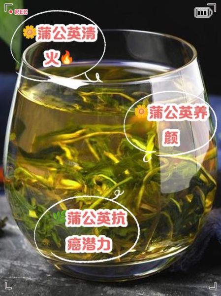 蒲公英泡水喝的功效与作用_蒲公英能治哪些病-第2张图片-山城妙识 蒲公英泡水喝的功效与作用_蒲公英能治哪些病-第2张图片-山城妙识