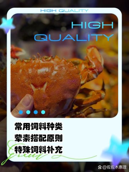 螃蟹吃什么食物长大_家养螃蟹喂什么-第1张图片-山城妙识 螃蟹吃什么食物长大_家养螃蟹喂什么-第1张图片-山城妙识