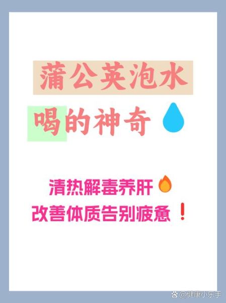 蒲公英泡水喝的功效与作用_蒲公英能治哪些病-第3张图片-山城妙识 蒲公英泡水喝的功效与作用_蒲公英能治哪些病-第3张图片-山城妙识