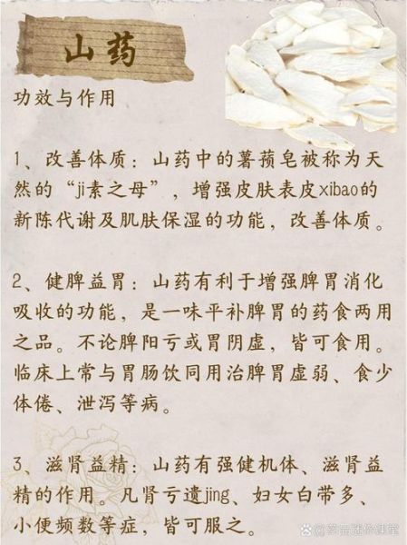 山药有什么营养价值_山药的功效与作用-第2张图片-山城妙识 山药有什么营养价值_山药的功效与作用-第2张图片-山城妙识