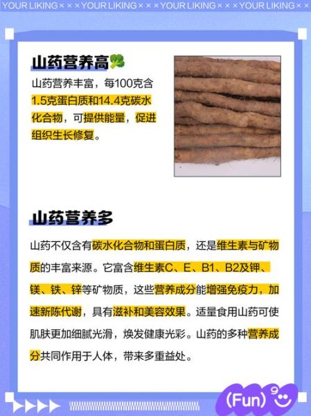 山药有什么营养价值_山药的功效与作用-第3张图片-山城妙识 山药有什么营养价值_山药的功效与作用-第3张图片-山城妙识