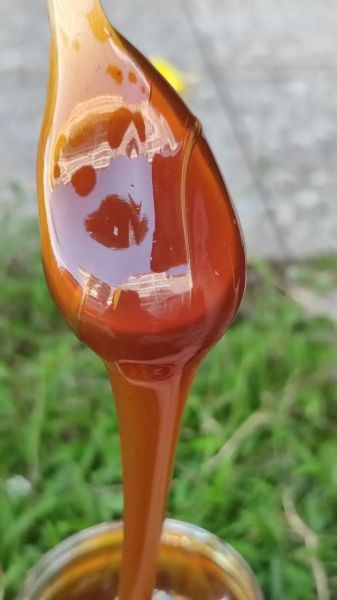 麦芽糖是什么样子的_麦芽糖图片特征-第1张图片-山城妙识