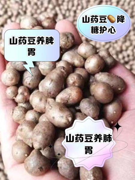 山药豆怎么吃_山药豆用去皮吗-第1张图片-山城妙识 山药豆怎么吃_山药豆用去皮吗-第1张图片-山城妙识