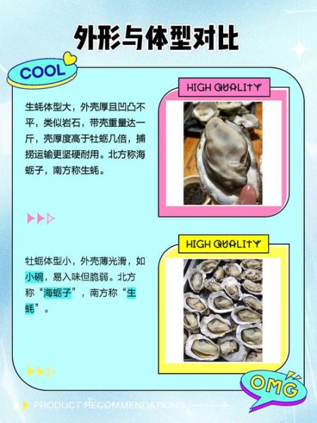生蚝和牡蛎有什么区别_生蚝和牡蛎哪个更营养-第1张图片-山城妙识 生蚝和牡蛎有什么区别_生蚝和牡蛎哪个更营养-第1张图片-山城妙识