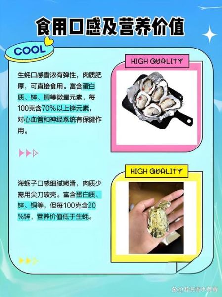 生蚝和牡蛎有什么区别_生蚝和牡蛎哪个更营养-第3张图片-山城妙识 生蚝和牡蛎有什么区别_生蚝和牡蛎哪个更营养-第3张图片-山城妙识