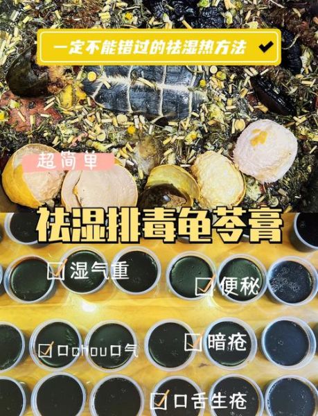 龟苓膏的做法视频教程_龟苓膏怎么做才正宗-第1张图片-山城妙识
