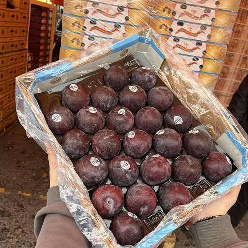 黑布林的禁忌_孕妇能吃黑布林吗-第2张图片-山城妙识 黑布林的禁忌_孕妇能吃黑布林吗-第2张图片-山城妙识