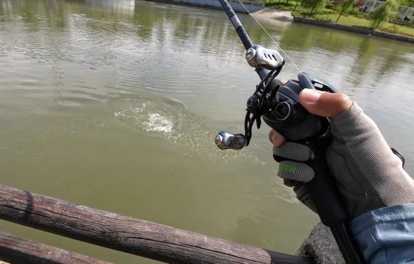 鳡鱼图片大全高清_鳡鱼怎么钓技巧-第2张图片-山城妙识 鳡鱼图片大全高清_鳡鱼怎么钓技巧-第2张图片-山城妙识