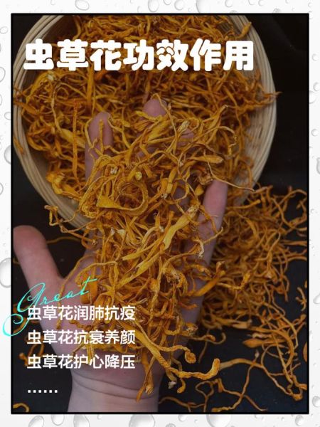 虫草花怎么吃最营养_虫草花有什么功效-第2张图片-山城妙识 虫草花怎么吃最营养_虫草花有什么功效-第2张图片-山城妙识