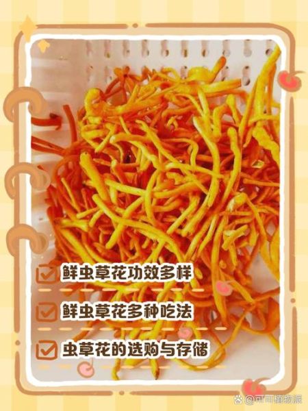 虫草花怎么吃最营养_虫草花有什么功效-第1张图片-山城妙识 虫草花怎么吃最营养_虫草花有什么功效-第1张图片-山城妙识