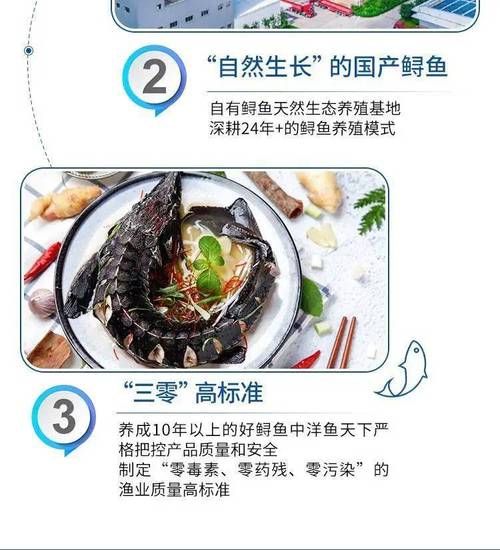 鲟鱼多少钱一斤_鲟鱼价格影响因素-第1张图片-山城妙识 鲟鱼多少钱一斤_鲟鱼价格影响因素-第1张图片-山城妙识