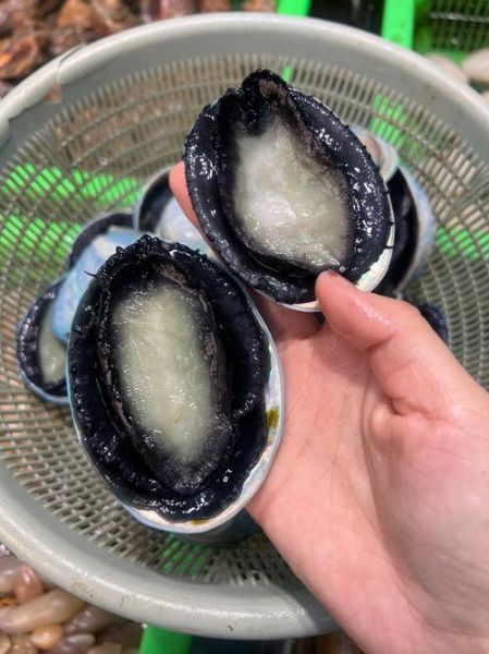 鲍鱼多少钱一斤2020_2020年鲍鱼价格行情-第3张图片-山城妙识 鲍鱼多少钱一斤2020_2020年鲍鱼价格行情-第3张图片-山城妙识