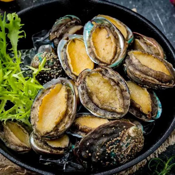 鲍鱼多少钱一斤2020_2020年鲍鱼价格行情-第1张图片-山城妙识 鲍鱼多少钱一斤2020_2020年鲍鱼价格行情-第1张图片-山城妙识