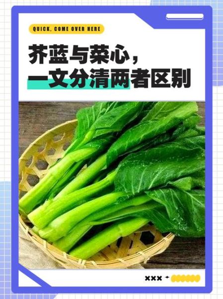 芥兰图片大全_芥兰和菜心区别-第2张图片-山城妙识