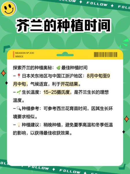 芥兰图片大全_芥兰和菜心区别-第3张图片-山城妙识