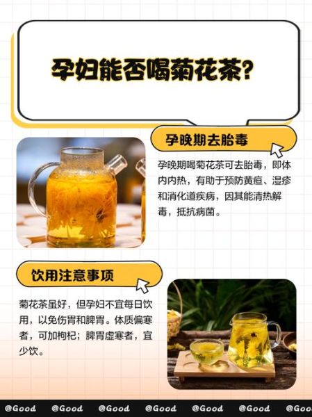 孕妇可以喝菊花茶吗_孕妇喝菊花茶对胎儿有影响吗-第2张图片-山城妙识