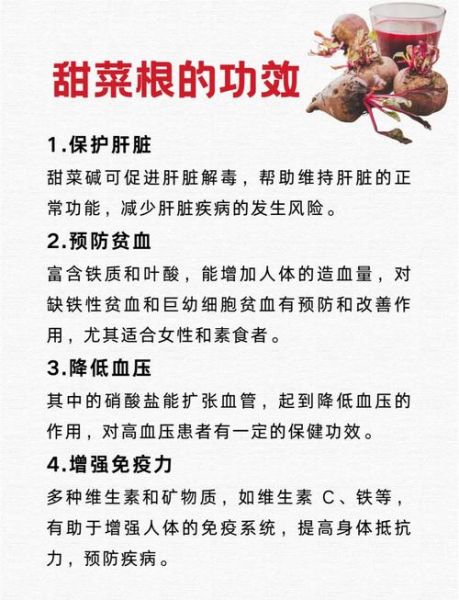 菜根的功效与作用_菜根怎么吃才健康-第2张图片-山城妙识 菜根的功效与作用_菜根怎么吃才健康-第2张图片-山城妙识