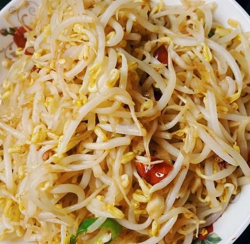 豆芽菜怎么炒好吃_豆芽菜焯水几分钟-第1张图片-山城妙识 豆芽菜怎么炒好吃_豆芽菜焯水几分钟-第1张图片-山城妙识