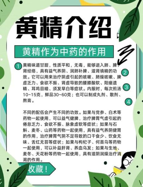 黄精的功效与作用及禁忌_什么人不能吃黄精-第2张图片-山城妙识 黄精的功效与作用及禁忌_什么人不能吃黄精-第2张图片-山城妙识