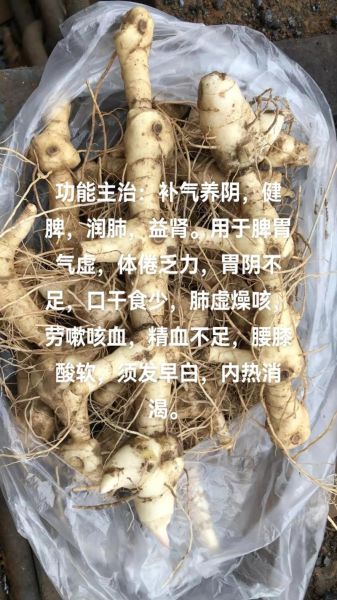 黄精的功效与作用及禁忌_什么人不能吃黄精-第3张图片-山城妙识 黄精的功效与作用及禁忌_什么人不能吃黄精-第3张图片-山城妙识